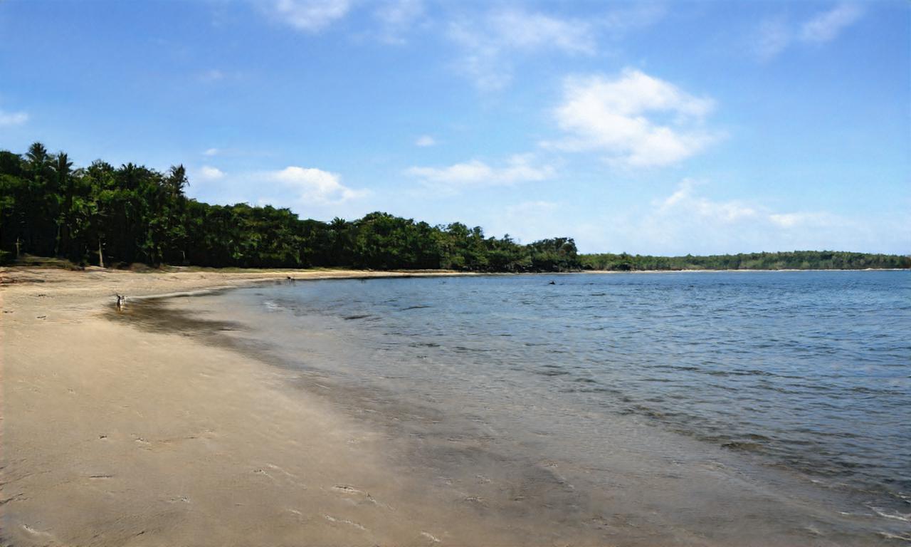Le Porge plages | plage acceptant les chiens Le Porge
