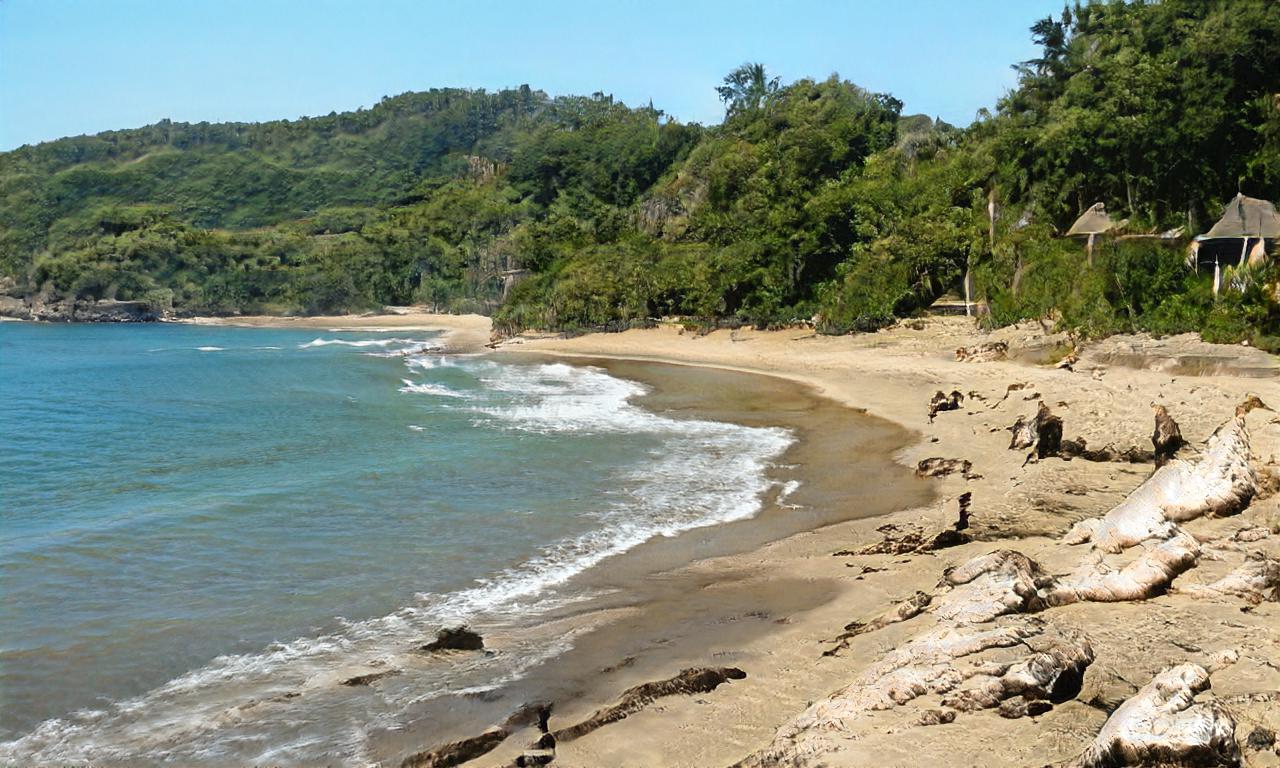 Plage de bon abri – Hillion | plage acceptant les chiens Hillion